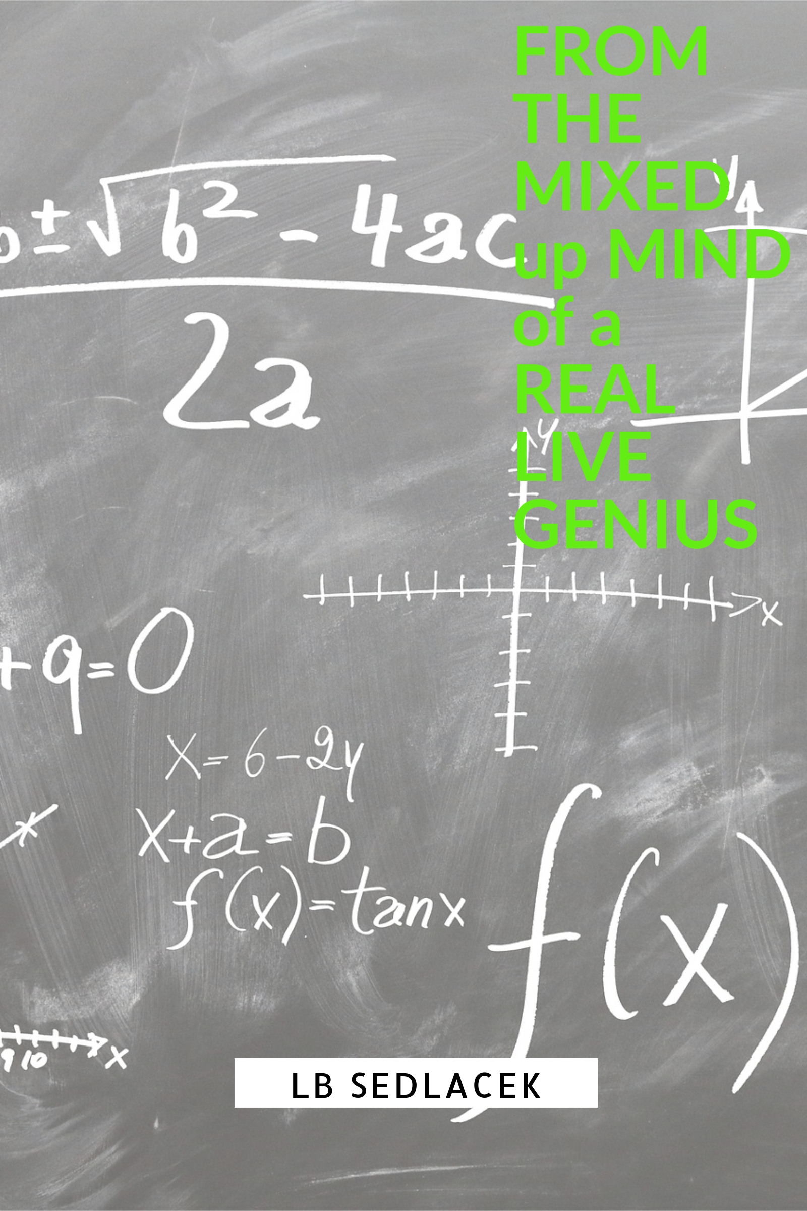 From the Mixed up Mind of a Real Live Genius – LB SEDLACEK